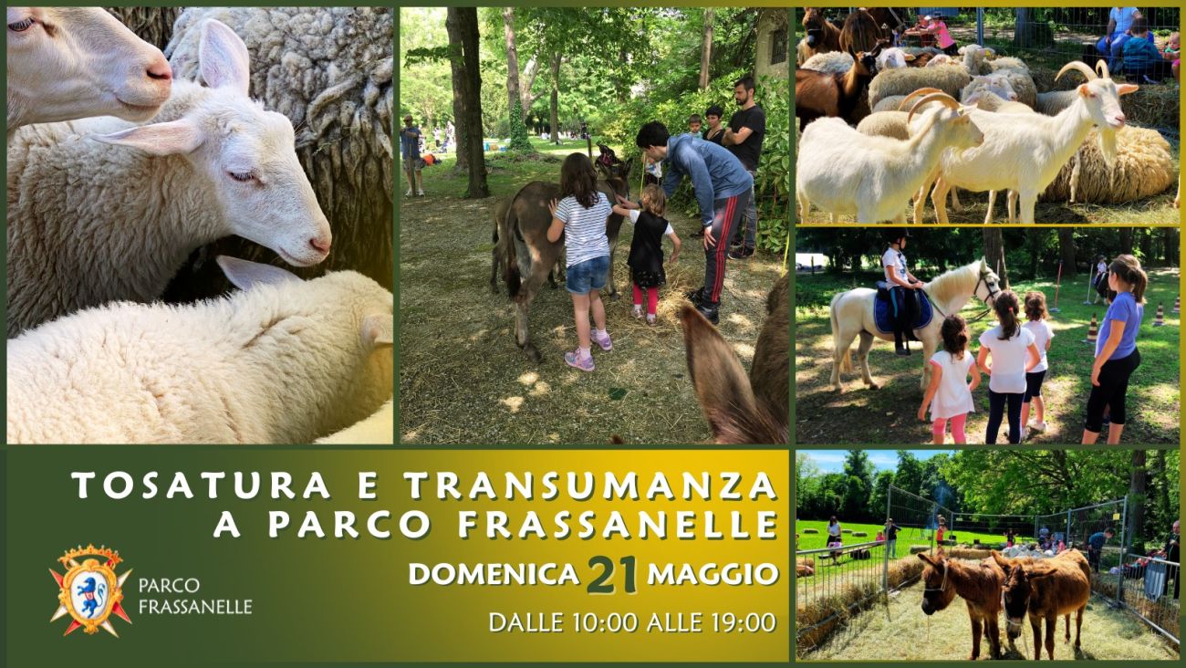 La tosatura e la transumanza
